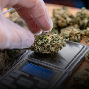 Cannabis Measurement: Ultimate Guide - IndicaOnline