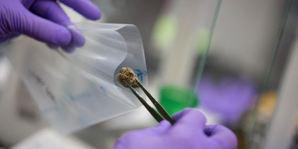 An Easy Guide to the Cannabis Testing Requirements in California
